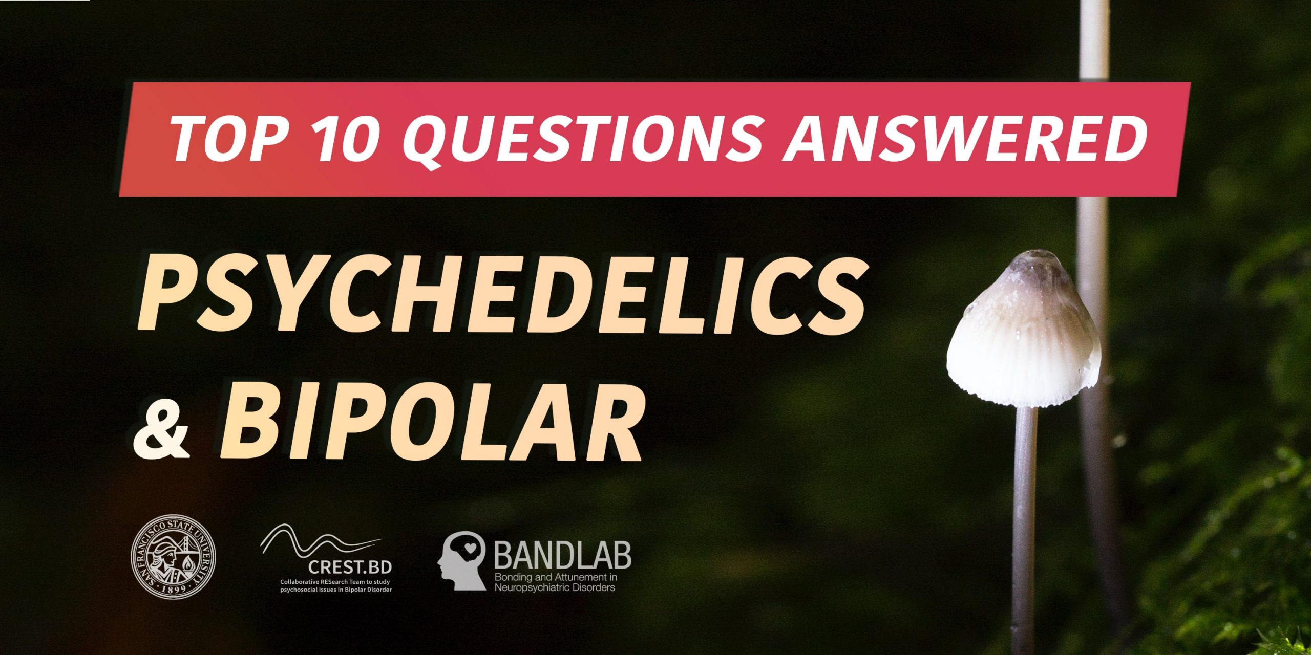 Ask An Expert Psilocybin Psychedelics Bipolar Disorder Blog Ask An Expert Psilocybin Psychedelics Bipolar Disorder Blog